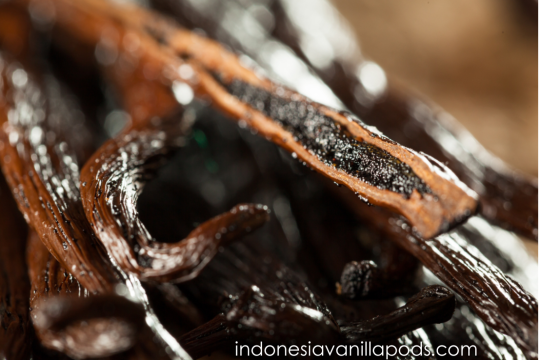 Vanilla Farming in Indonesia Facts Everyone Should Know